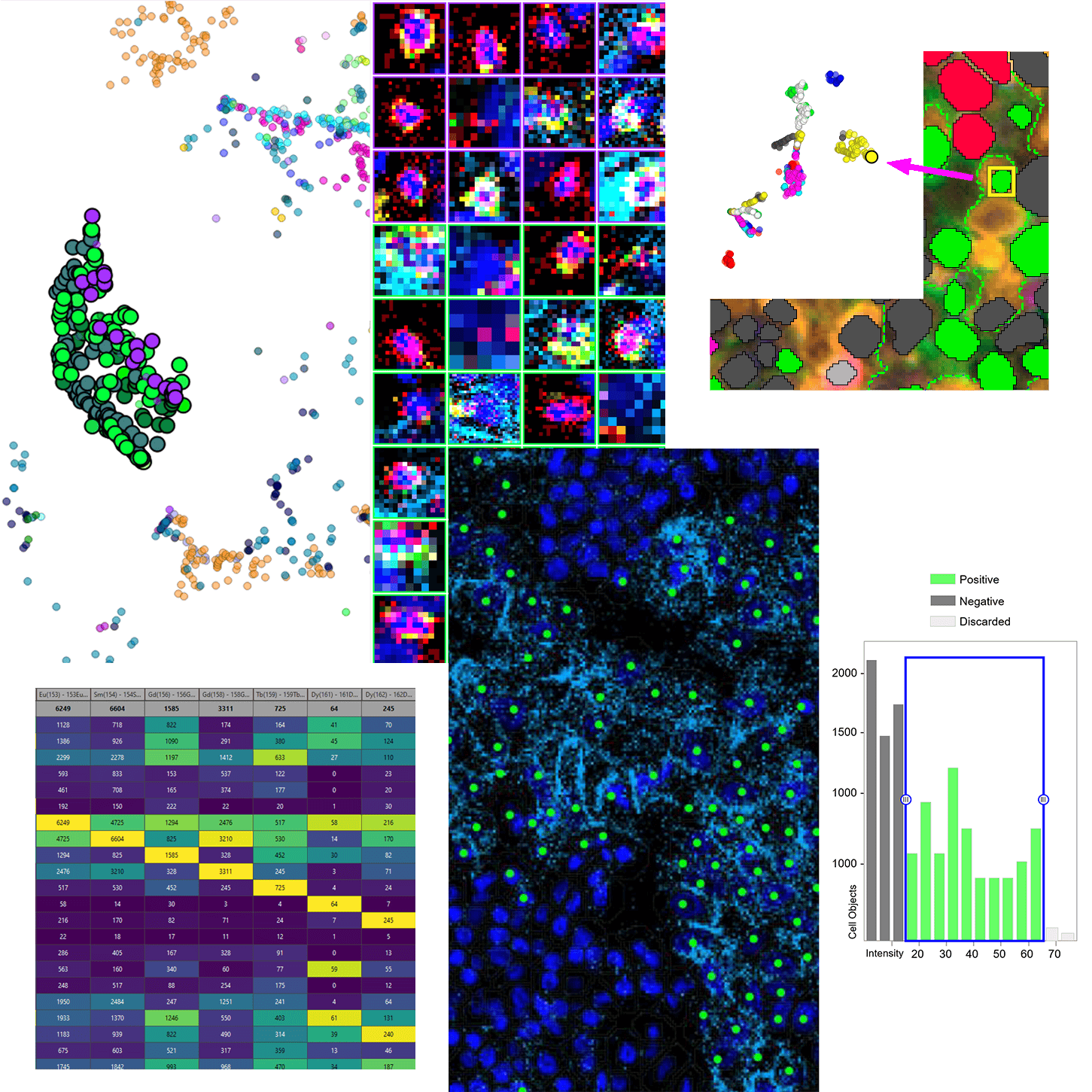 Phenoplex - Multiplex software for multiplex users in spatial biology