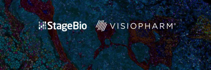 Q&A: StageBio's Journey with Visiopharm Software - Visiopharm