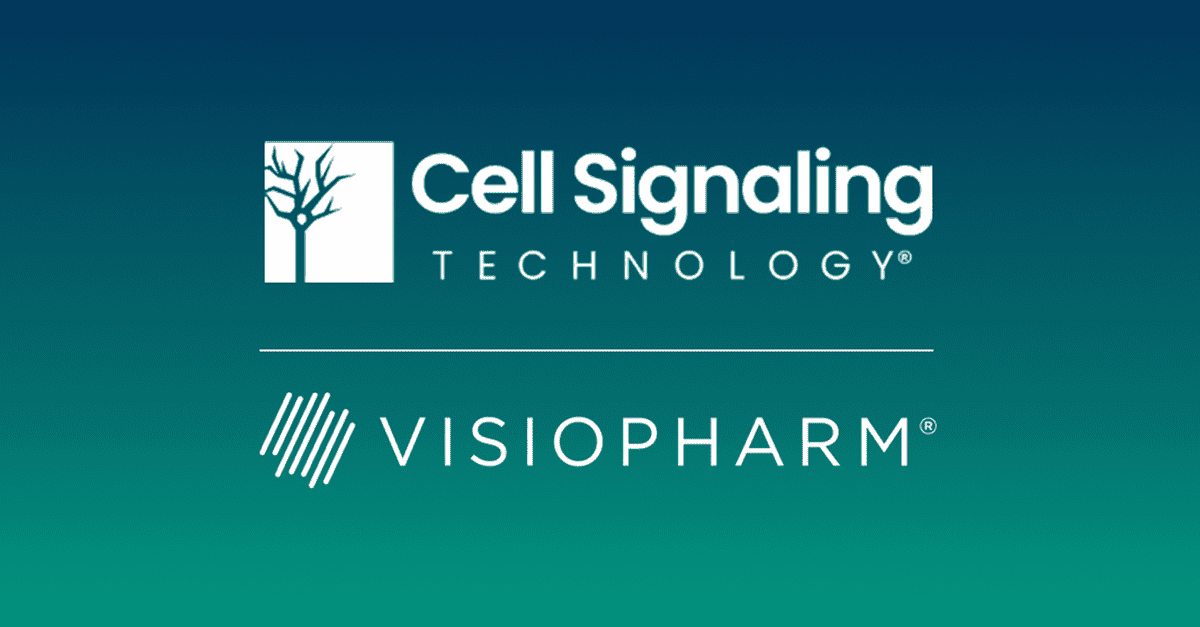 We are a leading provider of AI-driven precision pathology software for ...