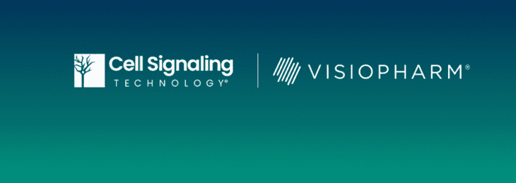 Cell Signaling Technology and Visiopharm Announce Partnership to Advance Spatial Biology ...
