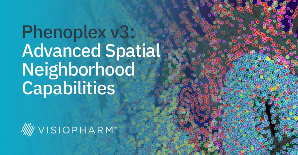 Phenoplex v3: Revolutionizing multiplex image analysis with advanced spatial neighborhood ...
