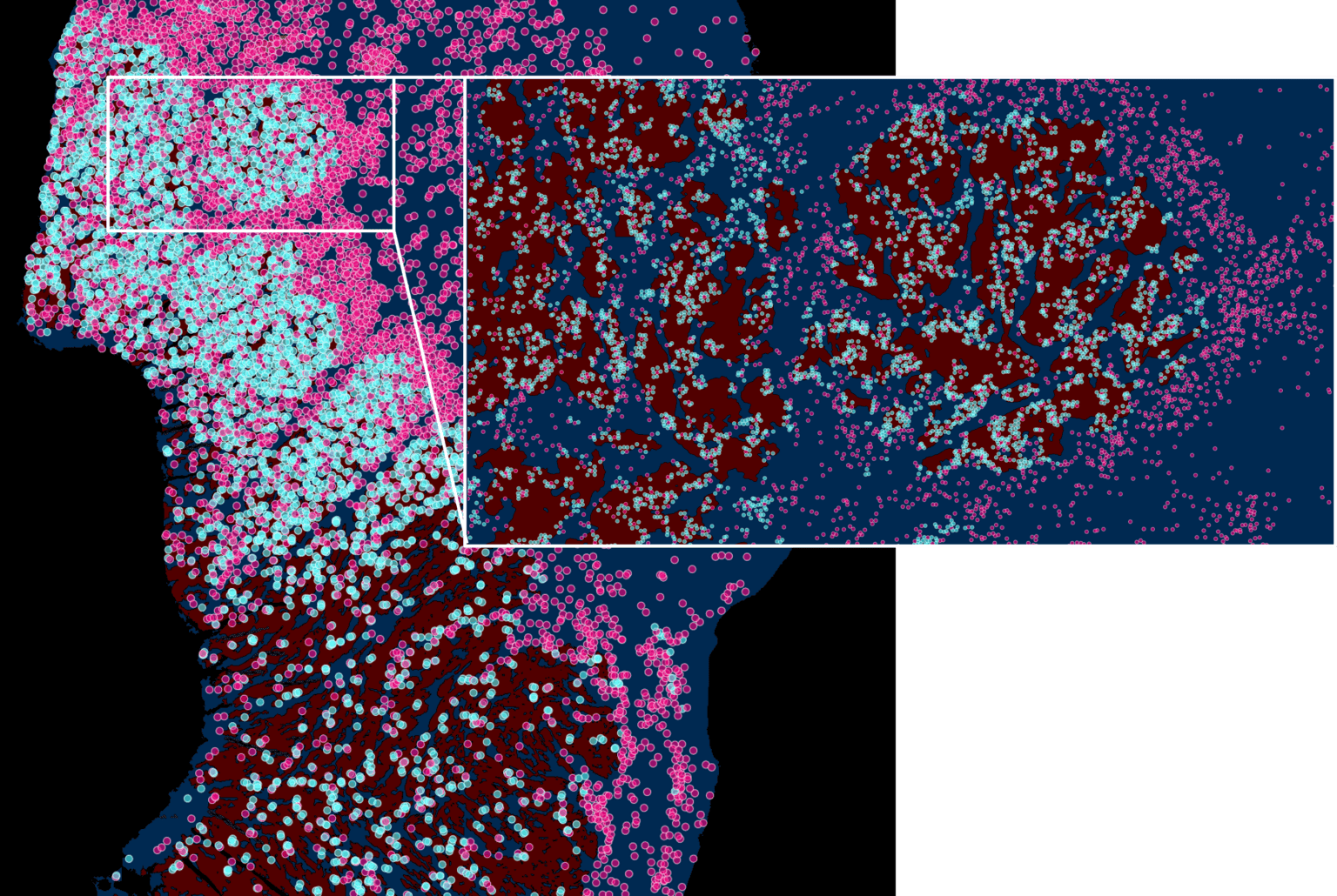 Phenoplex v3: Revolutionizing multiplex image analysis with advanced spatial neighborhood ...