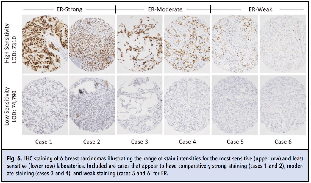 Tissue Stain Quality | Visiopharm