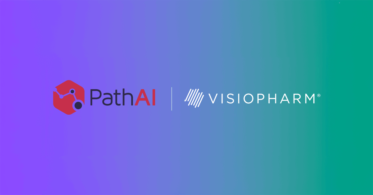 We are a leading provider of AI-driven precision pathology software for ...