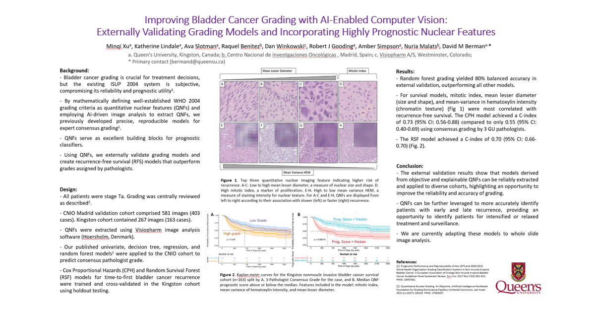 Improving Bladder Cancer Grading with AI-Enabled Computer Vision Externally Validating Grading ...