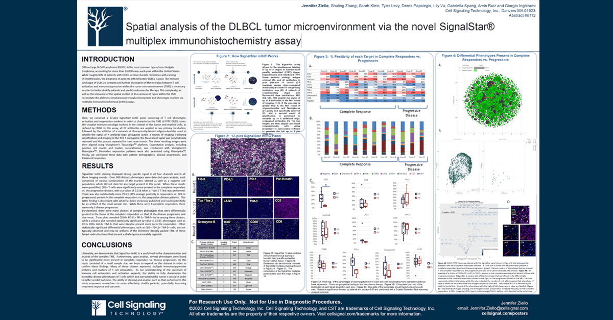 Spatial analysis of the DLBCL tumor microenvironment via the novel SignalStar®multiplex ...