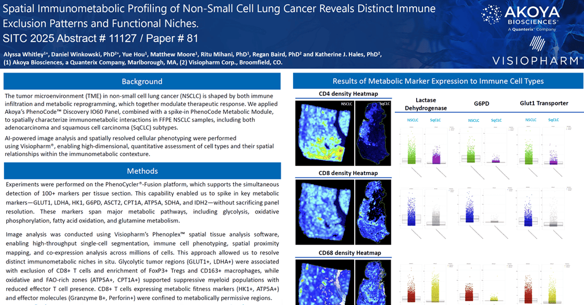 Spatial Immunometabolic Profiling of Non-Small Cell Lung Cancer Reveals ...
