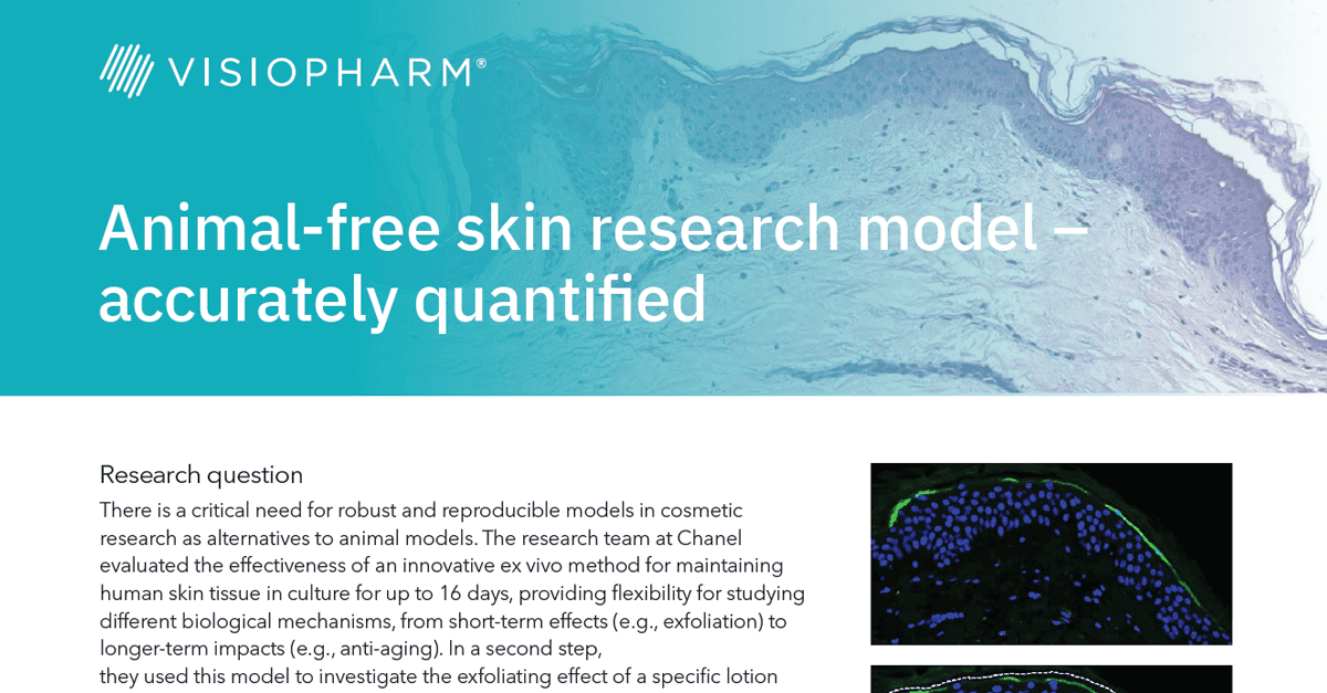 Animal-free skin research model – accurately quantified – one-pager ...